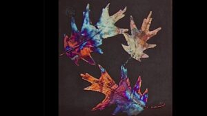 All Classes | FAC's Bemis School of Art