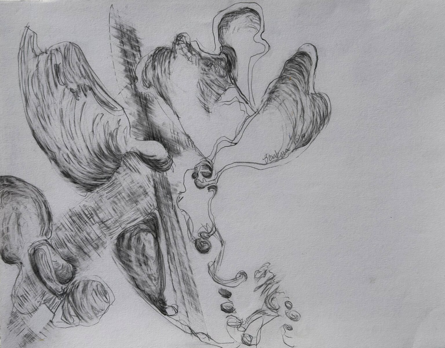 Y32 Introduction to Drawing Sampler | FAC’s Bemis School of Art